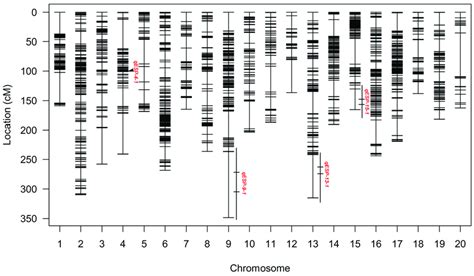 Genetic Map Of F 2 Population And Esp Related Qtls Ruler On Left Side