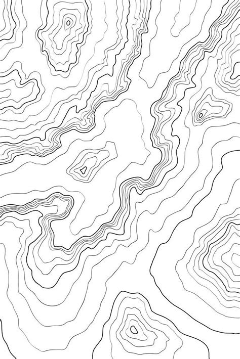 Pin By Soph¡e On Lines Topography Map Topographic Map Art Topography
