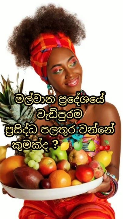 මල්වානේ වැඩිපුරම ප්‍රසිද්ධව තියන පැණි බේරෙන පලතුර මේ අතරින් කුමක්ද 🍒🍐🍏🍋 Shortvideo Viralvideo