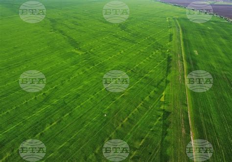 БТА Земеделската земя в Добричка област е със 73 4 на сто по скъпа от средната стойност за