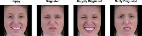 Complex Facial Expression Recognition Using Deep Knowledge Distillation Of Basic Features