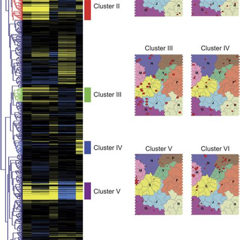 Unsupervised Hierarchical Clustering Shows The Diversity Of