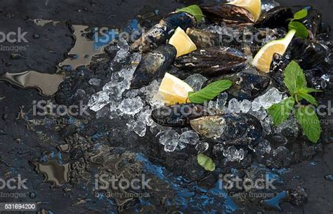 신선한 조리되지 않음 홍합 레몬색 허브와 스파이시즈 얼음 위에 가벼운에 대한 스톡 사진 및 기타 이미지 가벼운 건강한 식생활 굴 Istock