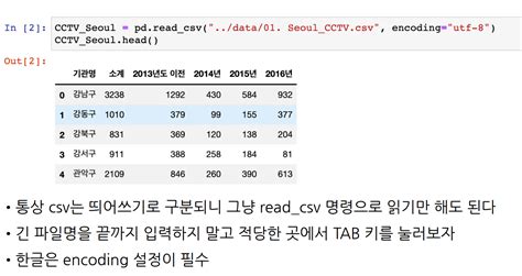 eda 1 서울시 cctv 현황 데이터 분석