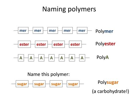 Ppt Introduction To Polymers Powerpoint Presentation Free Download Id2192152 Ppt Introduction To Polymers Powerpoint Presentation Free Download Id2192152