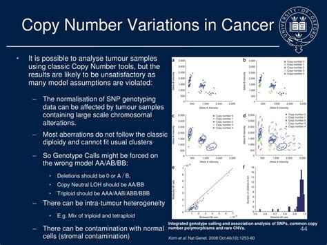 Ppt Copy Number Variations Powerpoint Presentation Free Download