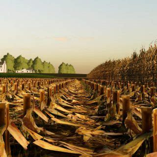 Corn And Soybean Textures V 3 0 FS19 Mod FS19 Net