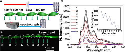 A Diagram Of Waveguide Properties Characterization B A Fluorescence