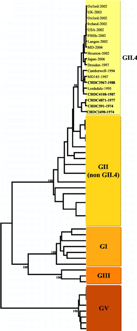 Maximum Likelihood Analysis Of Complete Genome Sequences From