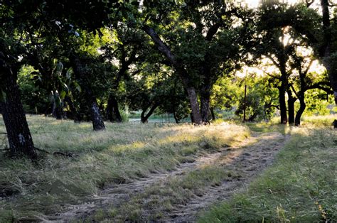 Kepler Creek Ranch Lee Lee And Puckitt Associates Inc