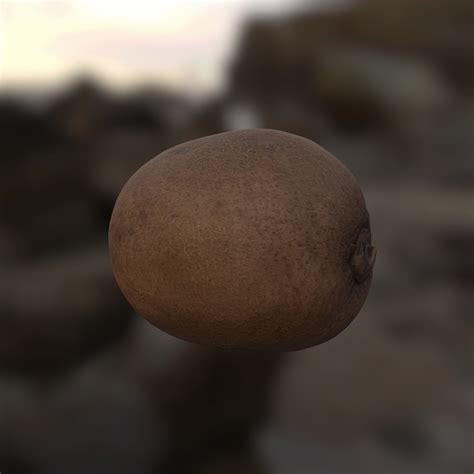 Kiwi 3d Model 9 Unknown Obj Fbx Free3d