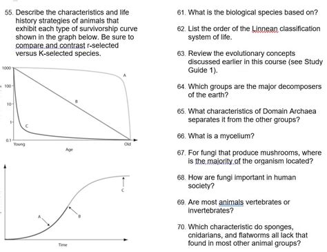 Which Curve In The Graph Best Represents A K Selected Species Abdiel