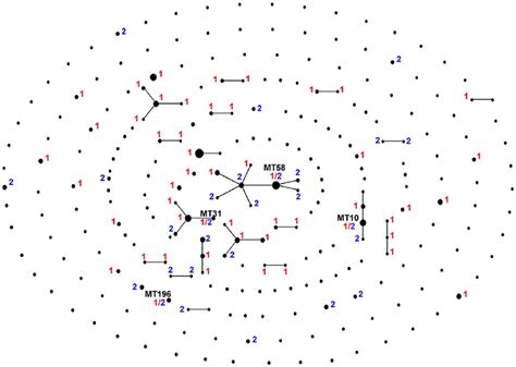 EBURST Diagram Showing Clones With Mating Types Mating Types Are Shown Download Scientific