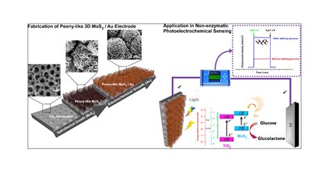 Nanopattern Assisted Direct Growth Of Peony Like 3d Mos2au Composite