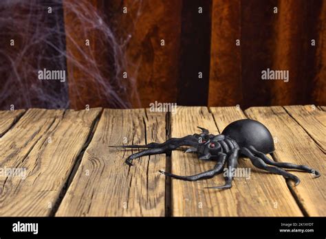 Creepy Fake Spider On An Old Wooden Board Against The Background Of The Vintage Curtain Made Of