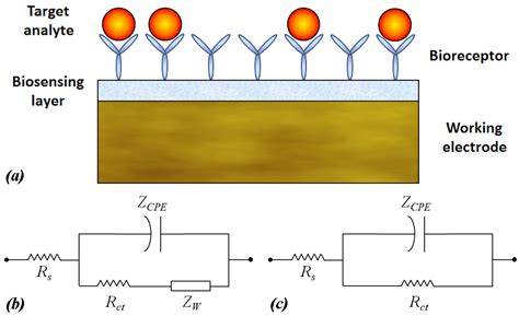 Data Analysis Of Electrical Impedance Spectroscopy Based Biosensors