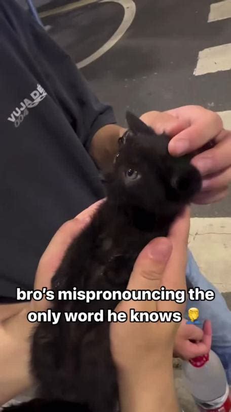 He Had 1 Job Tumbex