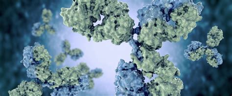 Bioanalysis Zone Hcps Detection And Quantitation Of Biological Drug