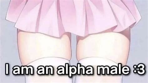 Alpha Male Youtube