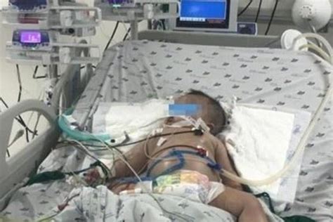 B Trai Nguy K Ch Do S T Xu T Huy T V Ch N Th Ng S N O T P Ch Tri Th C Tr C Tuy N