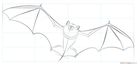 How To Draw A Realistic Bat Step By Step Drawing Tutorials