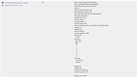how can i get some information from a switch entity frontend home