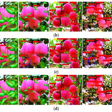Detection Results Of Different Models A Yolov3 B Yolov4 C