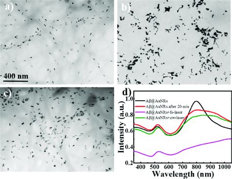 TEM images and UV−vis spectra of Aβ fibrils@AuNRs before/after laser... | Download Scientific ...