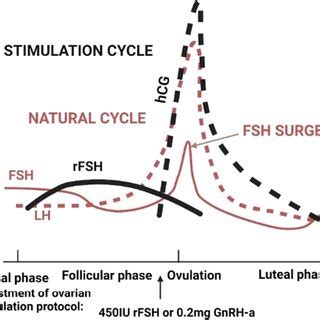 Adjustment Of Ovarian Stimulation Protocol And Schematic Of Serum Download Scientific Diagram