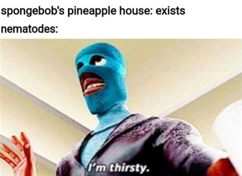 Nematode Spongebob Thirsty