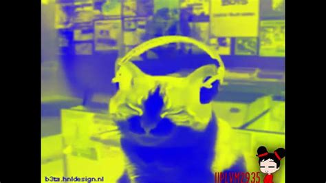 Preview 2 Numa Cats V4 Effects (Preview 2 Scorpion Deepfake Effects) - YouTube