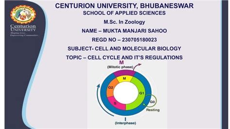Cell Cycle Checkpoints And Its Regulations Ppt