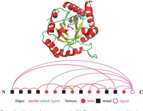 Figure 1 From The New Protein Topology Graph Library Web Server