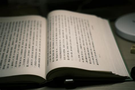 고전 문학 공부하다 교과서 교육 교육 도구 글꼴 대본 독서하는 마테리아 르 ・ 데스 투디 문학 문화적 서면