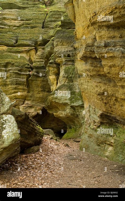 Rock Formations At Nelson Ledges State Park Near Garrettsville Ohio