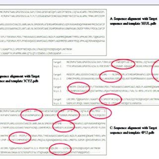 Multiple Sequence Alignment Of The Target Protein And Template Download Scientific Diagram