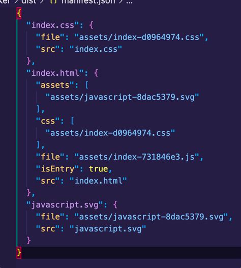 after vite 4 2 upgrade the manifest json file cannot be generated