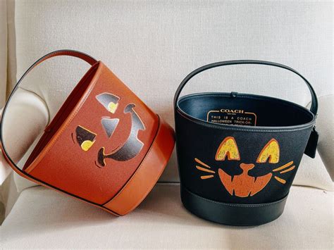 Halloween Is Over But You Should Buy These Coach Baskets For Next Year