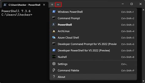 System Performance Extremely Poor When Windows Terminal Is Open During Teams Screen Sharing