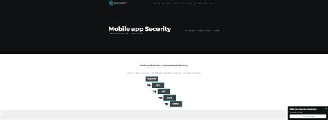 Top 10 Best Mobile Application Security Testing Tools For Android And Ios 2025