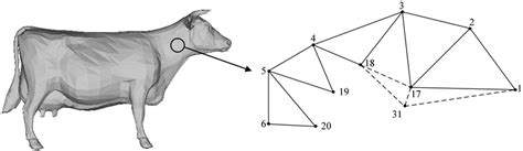 Illustration Of A Mesh Cow Download Scientific Diagram