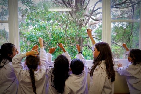 Holiday Program Providers And Libraries Mad About Science Incursions