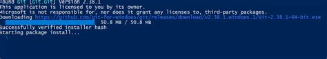 Tool Installs Git Instead Of Selected Program S Issue