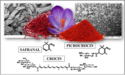 What Is Saffron Crocin Dr Amins Saffron Company