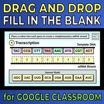 RNA Structure And Protein Synthesis Interactive Google Slides
