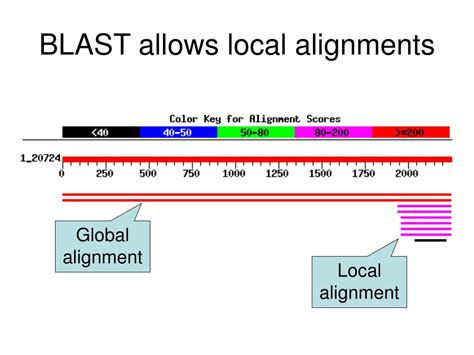 Ppt Sequence Comparison Local Alignment Powerpoint Presentation Free Download Id3391053