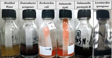 Figure No 5 Modified H2S Strip Test Method Kit Standardization Result Download Scientific