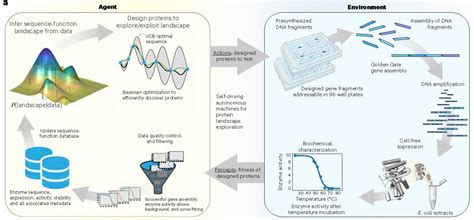 ‘self Driving Lab Speeds Protein Discovery Process Wisconsin Energy Institute