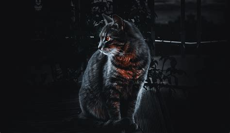 How To — Build Nestjs Api With Mysql By Soulaimaneyh Medium