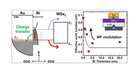 Work Function Modulation Of Biau Bilayer System Toward P Type Wse2 Fet Acs Applied Electronic